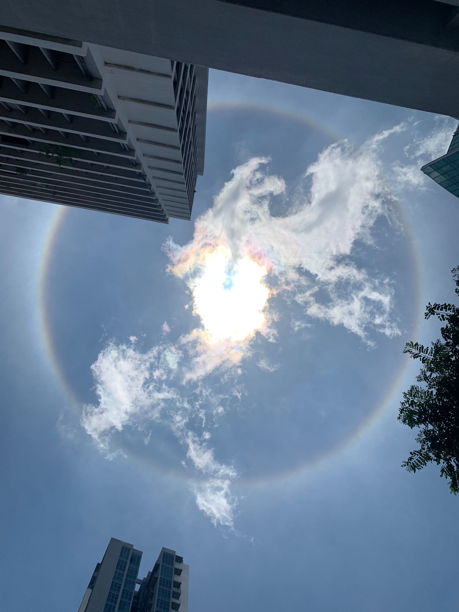 Technology, high-performance & burnout – Taking mindful charge of ...